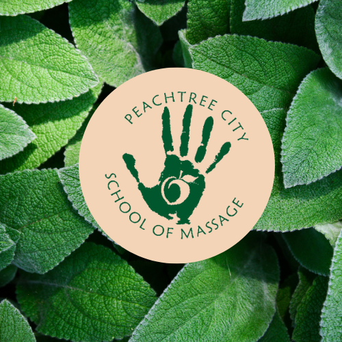 Spa Modalities 12CE October 14th, 2023